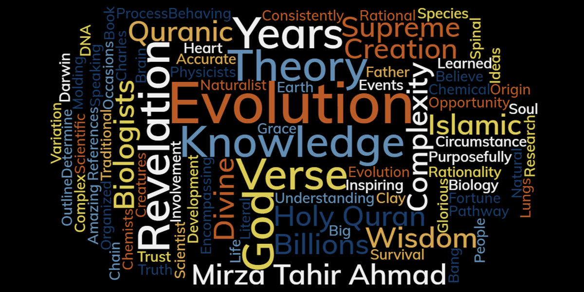 Evolution - Voice Of Islam Radio